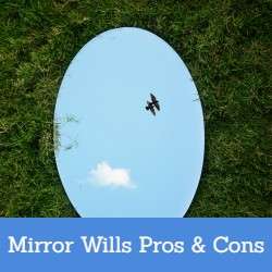 Mirror Wills Pros And Cons (Advantages Of Mirror Wills)
